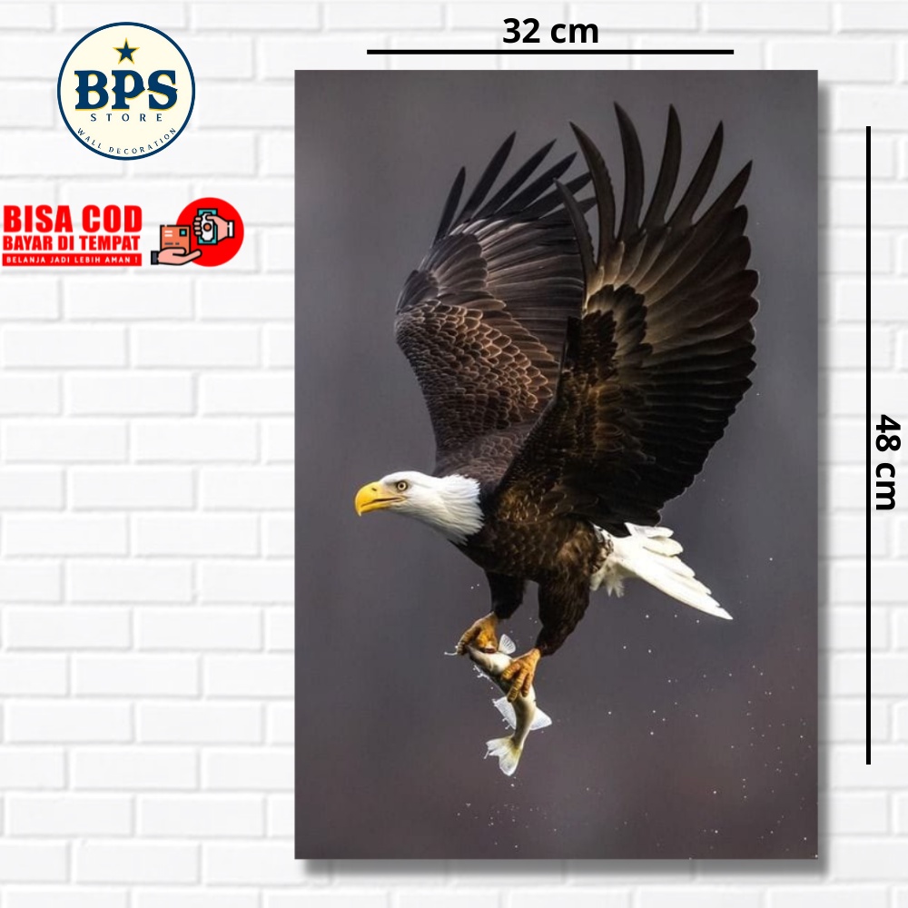 Jual Poster Burung Elang - Foto Hewan Elang - Hiasan Dinding - Wall ...