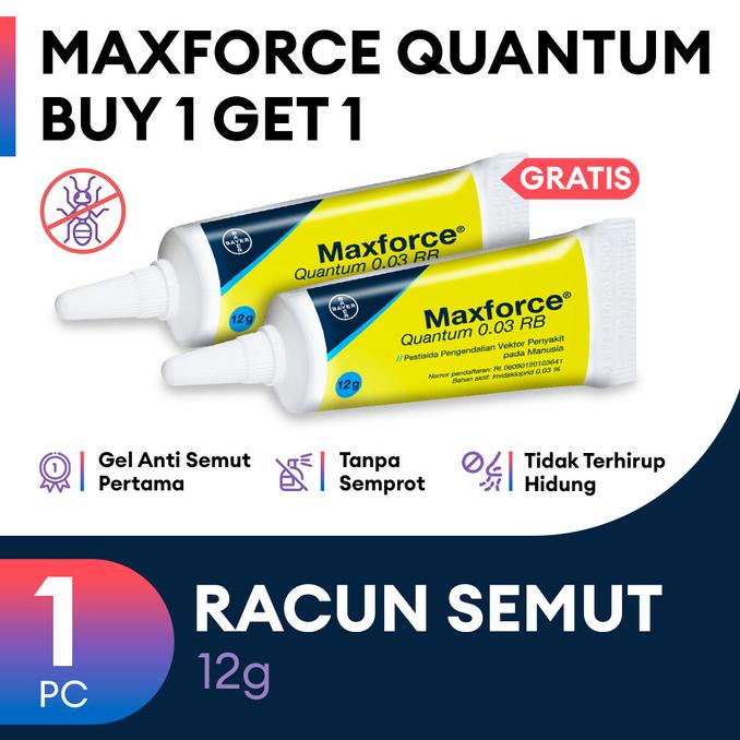 Jual Maxforce Quantum - Racun Semut Berbentuk Gel Buy 1 Get 1 FREE | Shopee Indonesia
