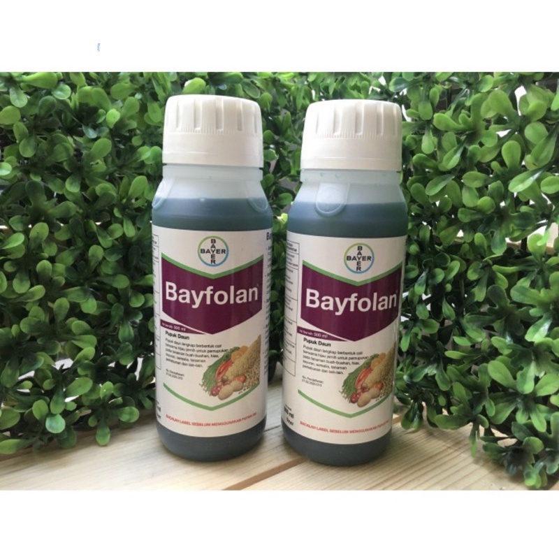 Jual BAYFOLAN 500 ML PUPUK DAUN CAIR LENGKAP Bayer | Shopee Indonesia