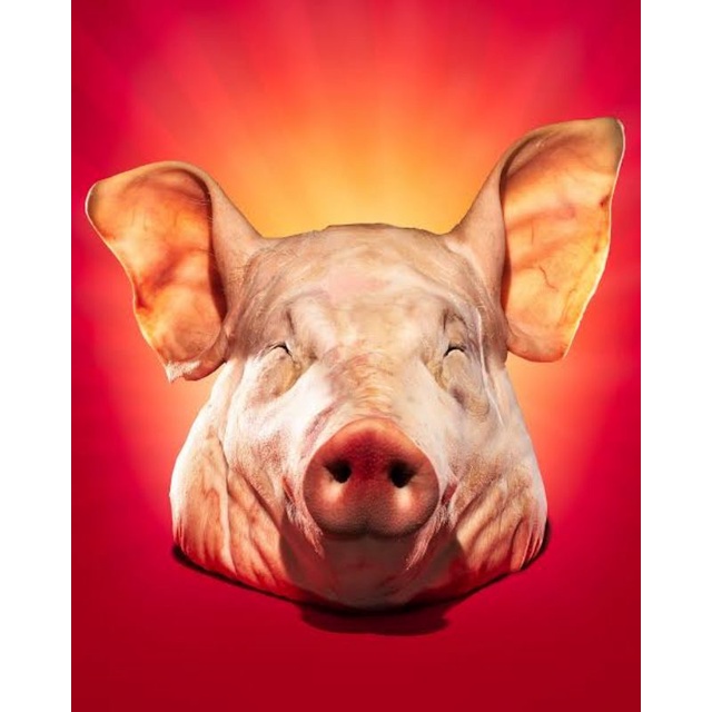 Jual Kepala Babi | Shopee Indonesia