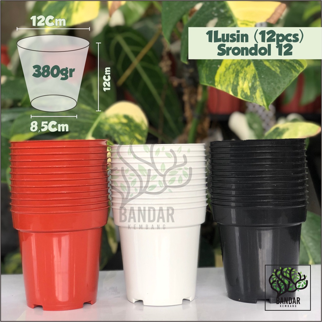 Jual 1 Lusin Pot Srondol 12 Tinggi Pot Bunga Tinggi Tebal | Pot 12 ...
