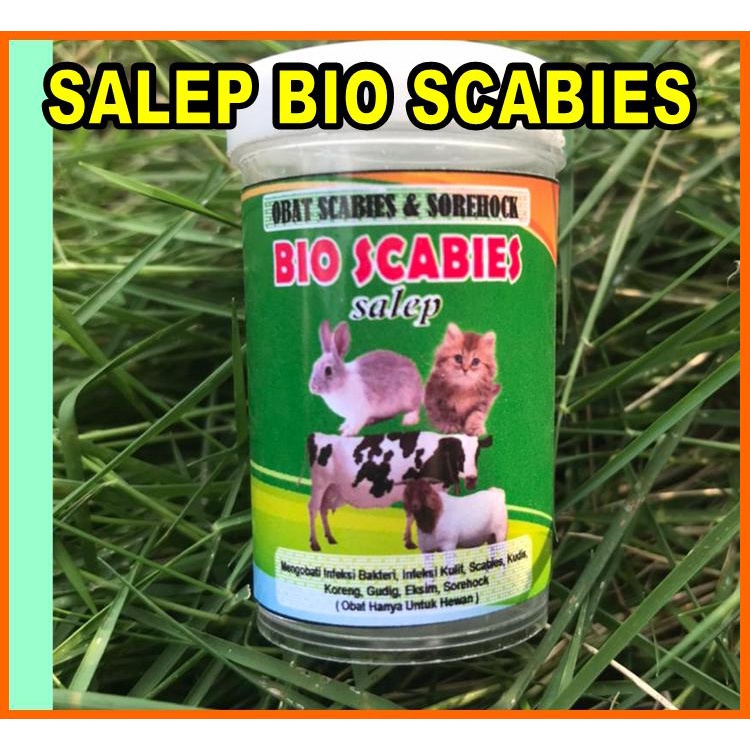 Jual Obat Scabies Kelinci, Salep Scabies Kelinci, Scabies Kelinci SALEP ...