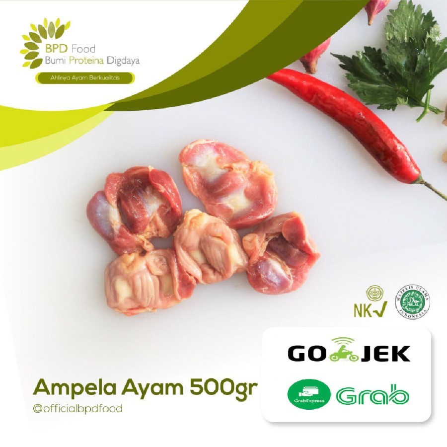 Jual AMPELA AYAM 1KG HALAL FROZEN | Shopee Indonesia