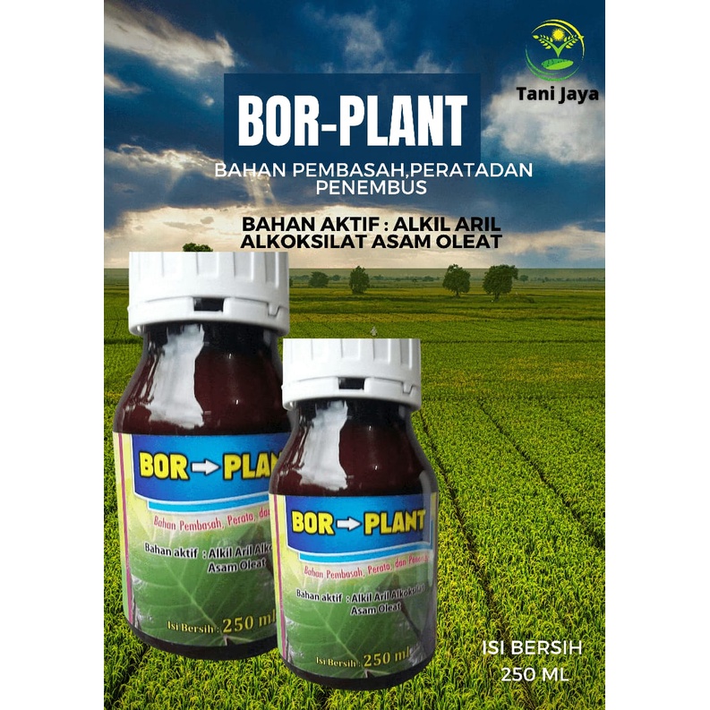 Jual Pupuk Perekat Cair BOR-PLANT 250ml Asam oleat,Tanaman Padi 1sendok ...