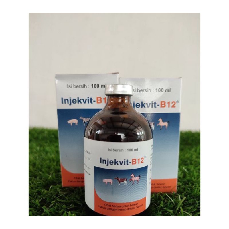 Jual B12 INJEKSI // VITAMIN UNTUK HEWAN // 100 ML | Shopee Indonesia