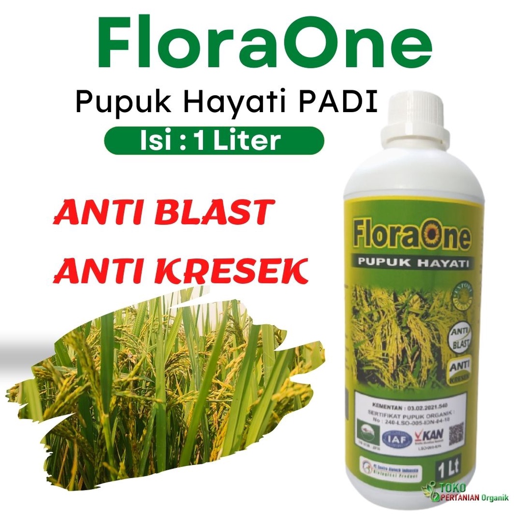 Jual Pupuk tanaman padi FLORAONE 1 L anti penyakit Hawar daun, Fungisida Hayati Cair untuk padi ...