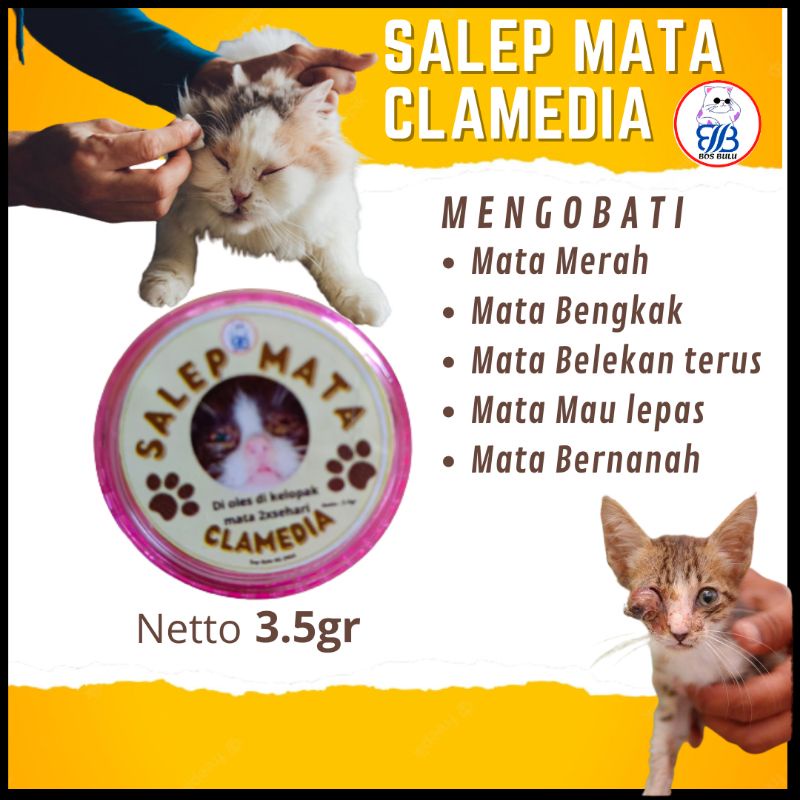 Jual salep mata clamedia merah bengkak bernanah kucing 3.5gram | Shopee ...