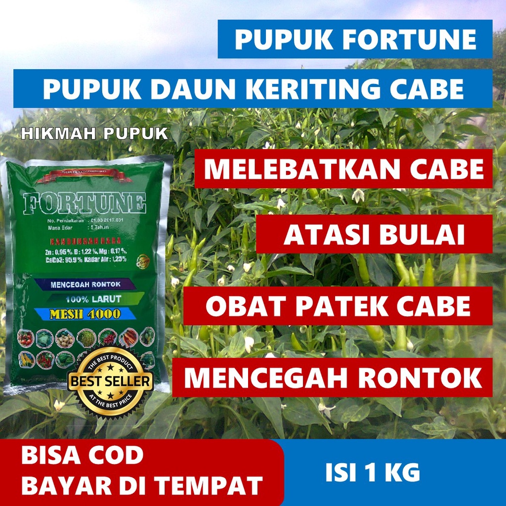 Jual FORTUNE Flour Calcium Fertilizer 1 KG Pupuk Tepung Tanaman Cabai ...