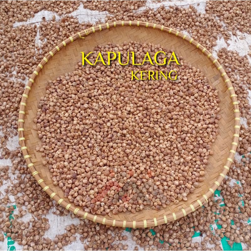 Jual Kapulaga 1Kg Kapulaga Jawa Kapulaga Putih True Cardamom | Shopee ...