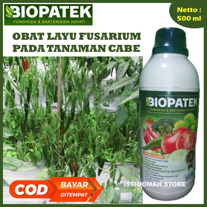 Jual Obat Layu pada Tanaman Cabe BIOPATEK 500ML Fungisida & Bakterisida ...