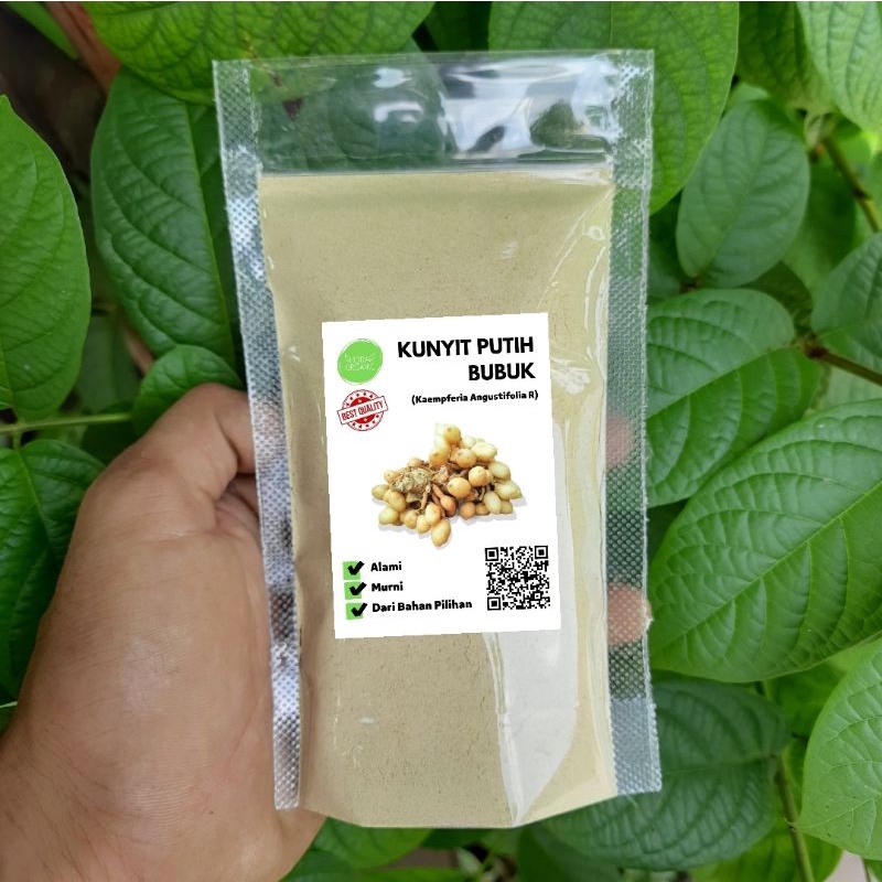 Jual Kunyit Putih Bubuk 100gr Serbuk Kunyit Putih Murni Alami Murah ...