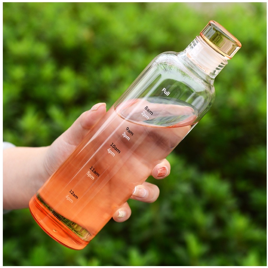 Jual Botol Minum kaca Aesthetic Water Bottle Termos Botol Bening ...