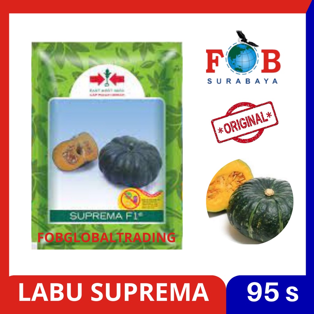 Jual BENIH LABU / WALUH SUPREMA F1 95 BUTIR MEREK PANAH MERAH | Shopee ...