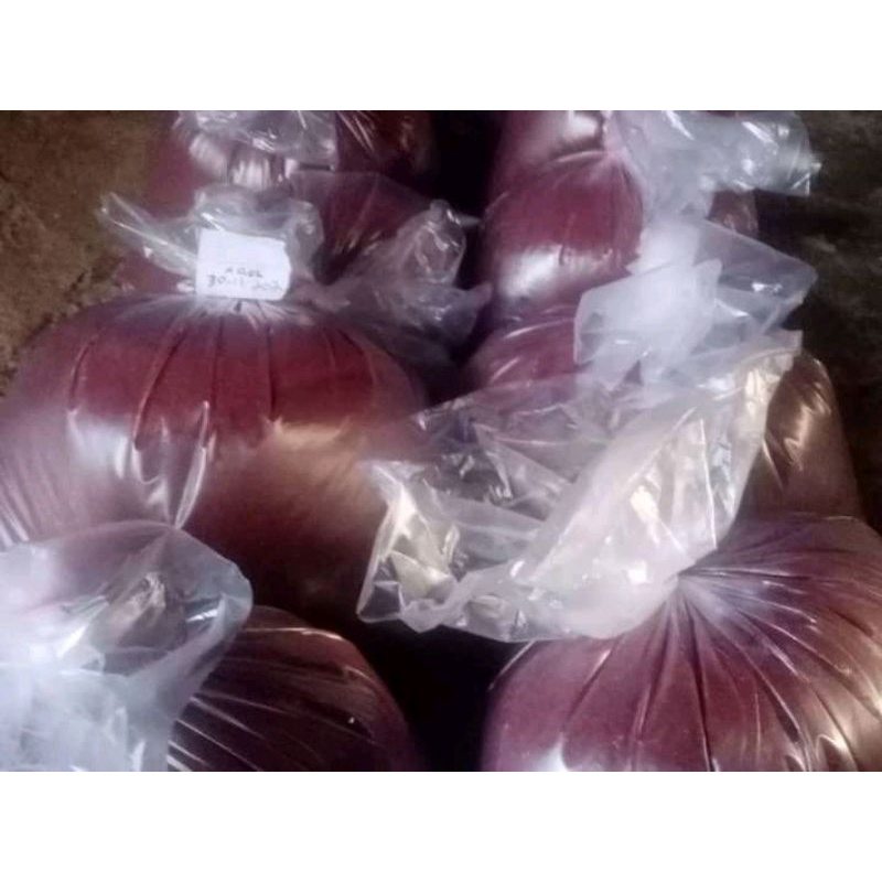 Jual 1kg serbuk Murni jernang dragond blood aceh | Shopee Indonesia