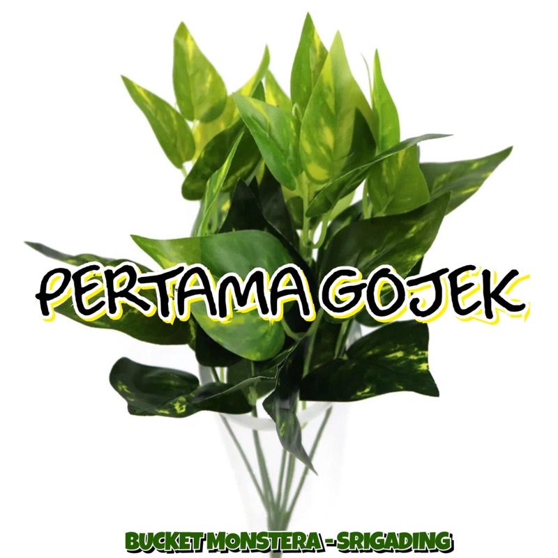 Jual Monstera Plastik/ Bunga Plastik/ Daun Plastik/ Daun Rambat Plastik ...