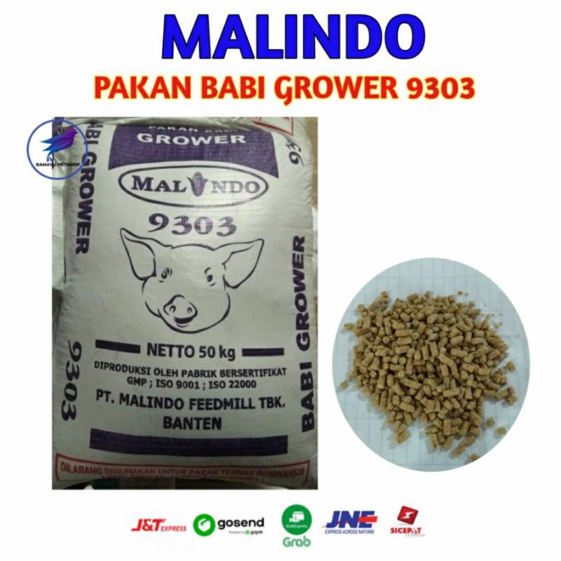 Jual PAKAN TERNAK BABI MALINDO 1KG | Shopee Indonesia