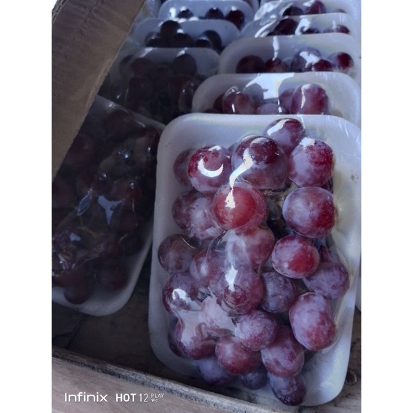 Jual anggur | Shopee Indonesia