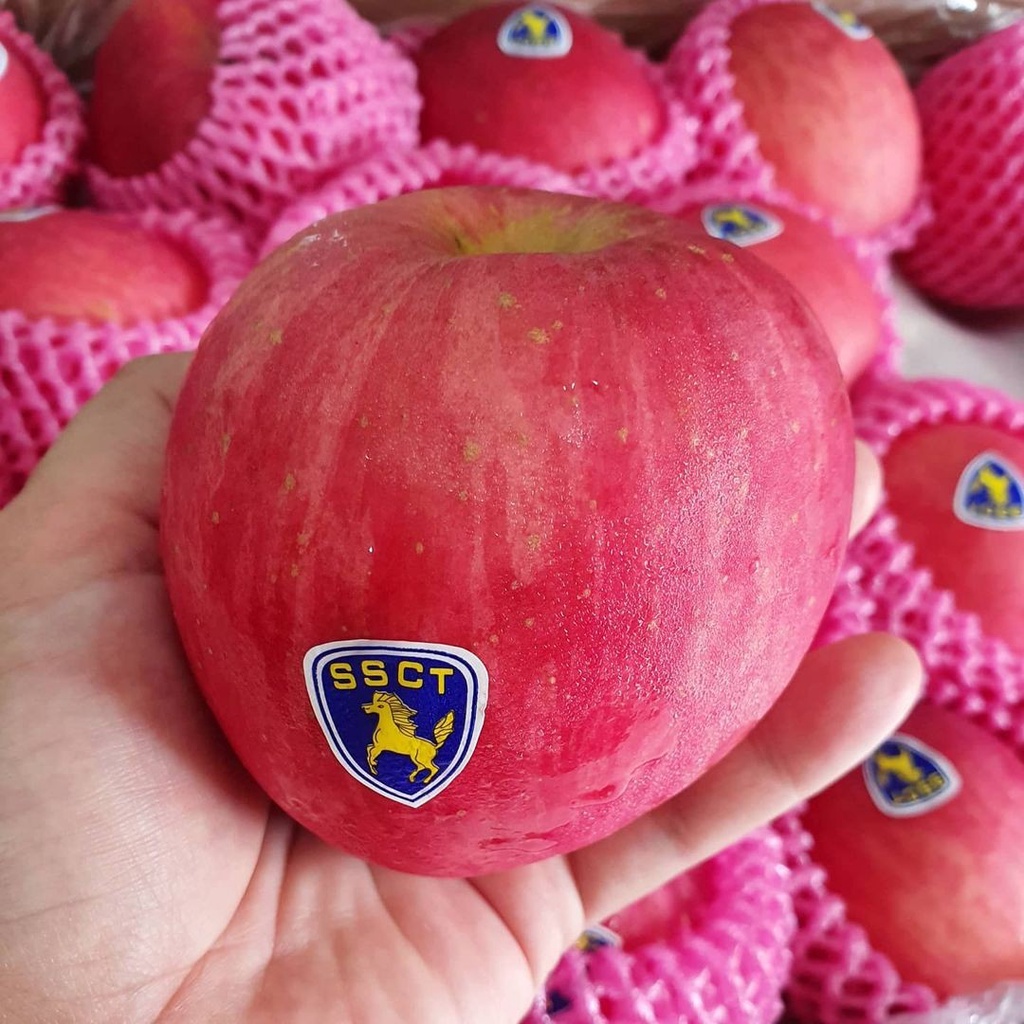 Jual BUAH APEL FUJI MANIS FRESH & SEGAR 1kg APEL FUJI MANIS FRESH ...