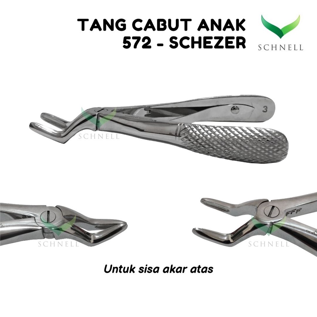 Jual Tang Cabut Gigi Anak Schezer Satuan / Tooth Forceps Children ...