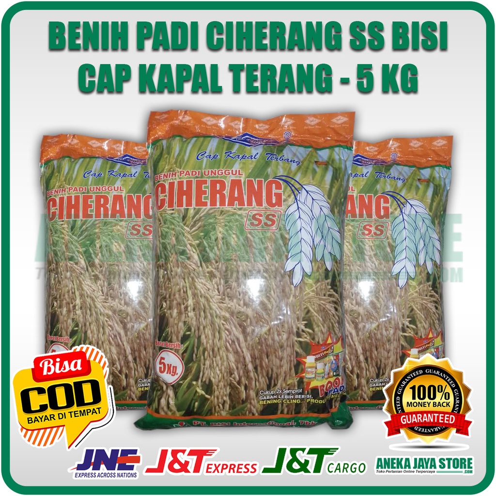 Jual Benih Padi Ciherang SS Cap Kapal Terbang - 5Kg | Shopee Indonesia