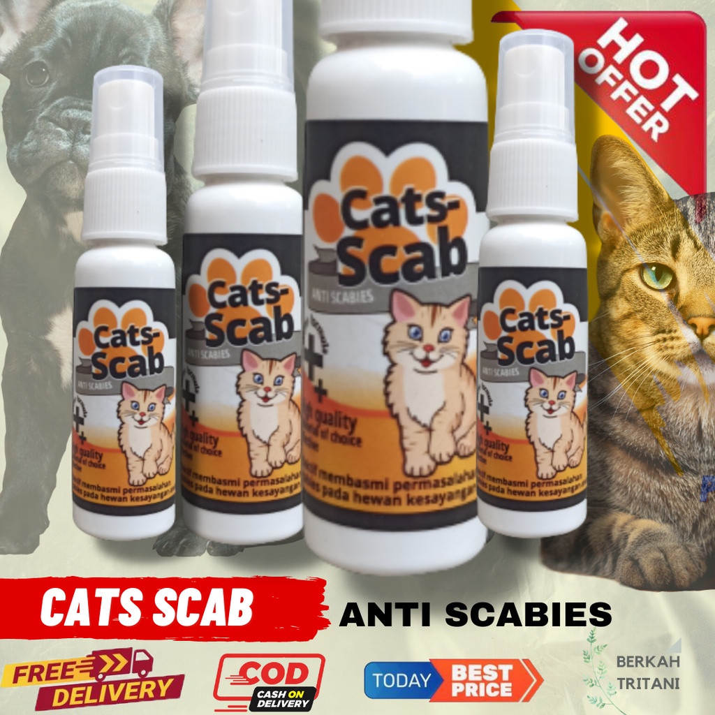 Jual CATS SCAB Obat Jamur Kucing Scabies Demodex Impetigo ANTI SCABIES ...