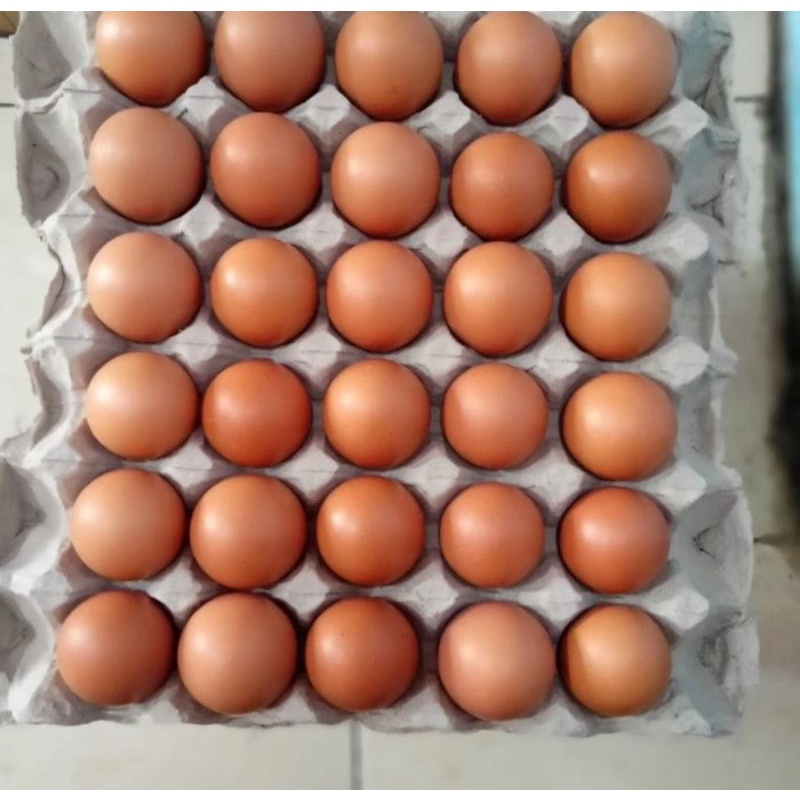 Jual telur ayam super telur ayam fresh | Shopee Indonesia