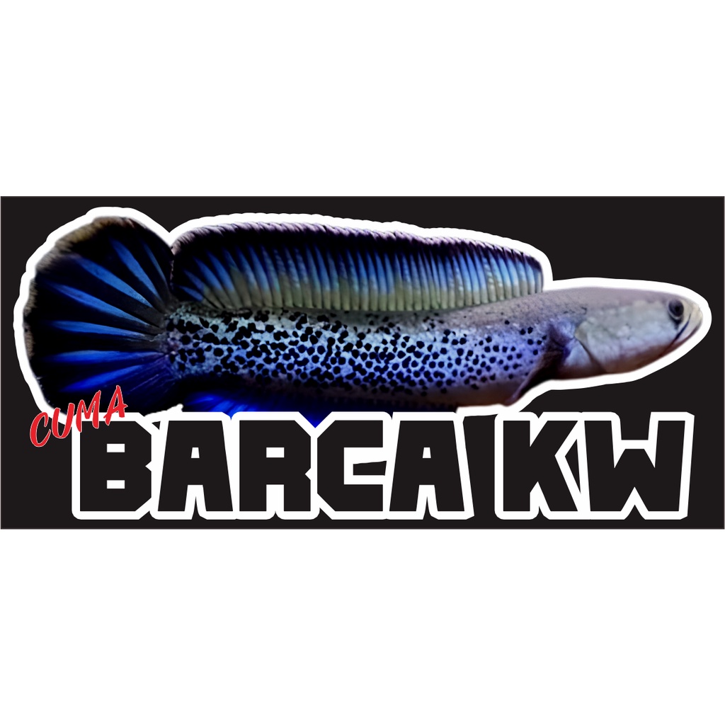Jual STIKER CHANA hiasan aquarium tempelan akuarium channa | Shopee ...