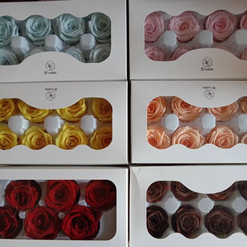 Jual Grade A Single Roses Preserved Flower Bunga Mawar Dried Satuan ...