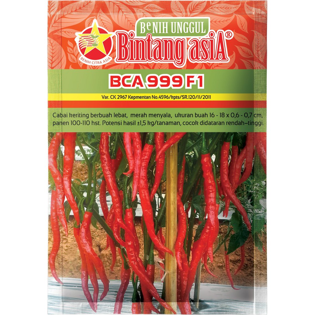Jual Benih Cabai Cabe Keriting BCA 999 F1 10 Gram Cap Bintang Asia PT ...