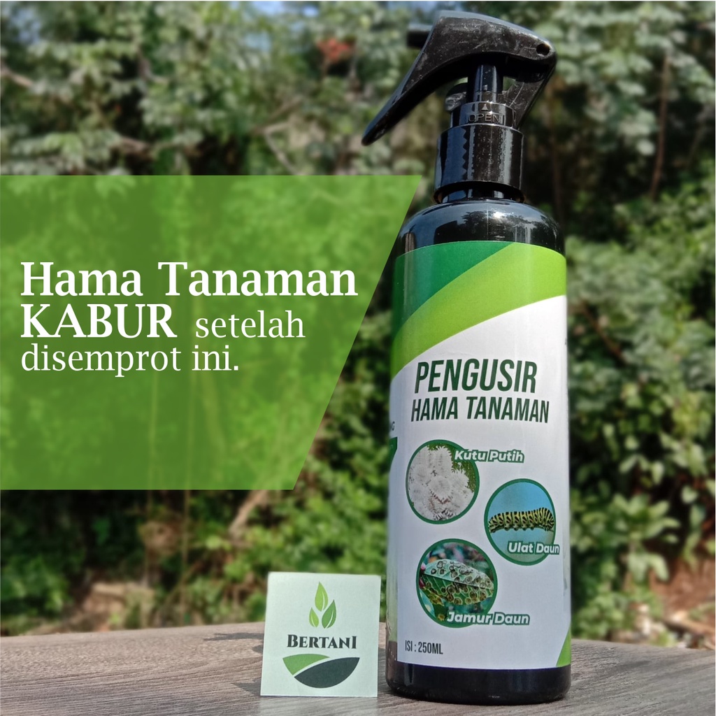 Jual Pembasmi Hama Tanaman Hias 250ml | JAMUR DAUN DAN LALAT DAUN ...