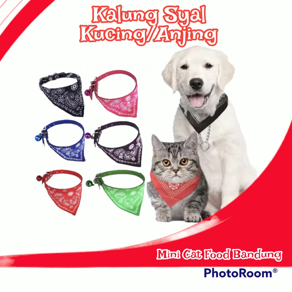 Jual Kalung Syal Kucing & Anjing Koboi Bentuk Segitiga - Mini Cat Food ...