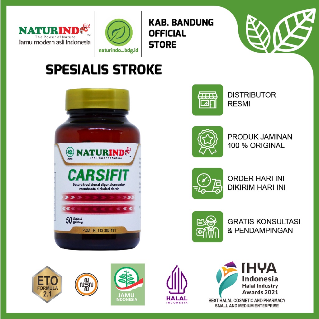 Jual Obat Stroke Herbal Pasca Stroke Struk Ringan Berat Tangan Kaki ...