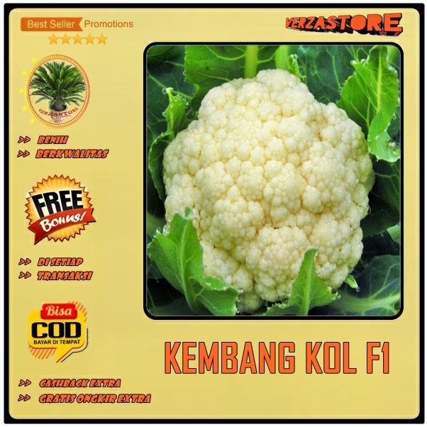 Jual Biji Benih Kembang Kol Hibrida F1 Putih /10 Biji | Shopee Indonesia