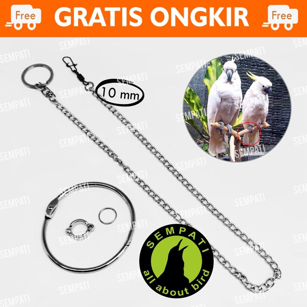 Jual Produk Terpercaya [Dapat Mini Gold] RANTAI KAKI KAKATUA MEDIUM ...