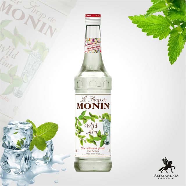 Jual Monin Syrup Wild Mint 700 ml | Shopee Indonesia