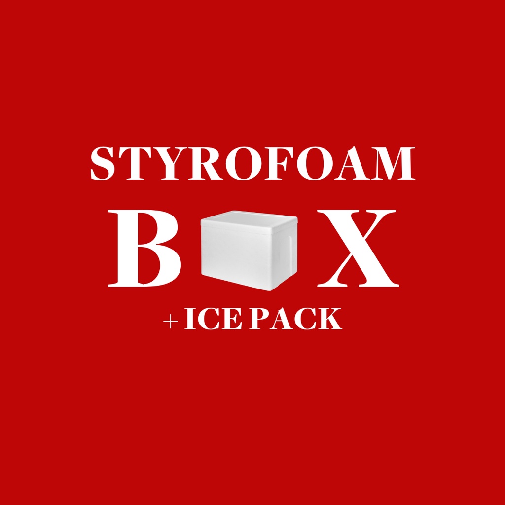 Jual Satu Porsi Styrofoam Box + Ice Pack | Shopee Indonesia