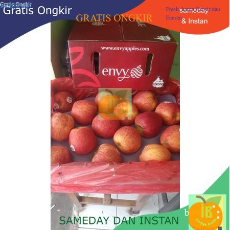 Jual Indukbuah buah Apel Envy apel impor segar apel New Zealand 1 dus ...