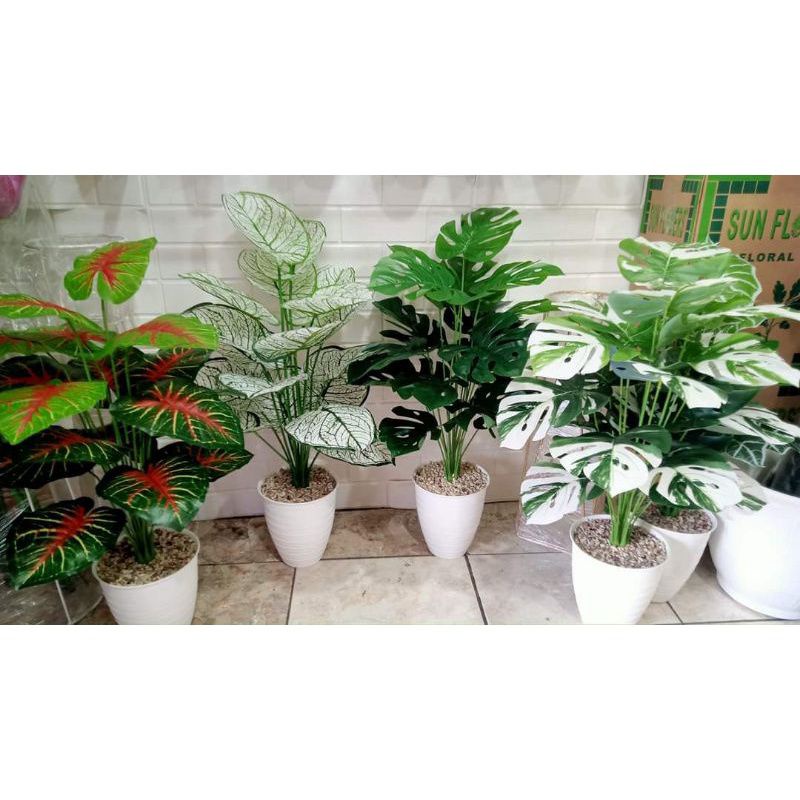 Jual Pohon Monstera / Pohon Pojok Artificial | Shopee Indonesia