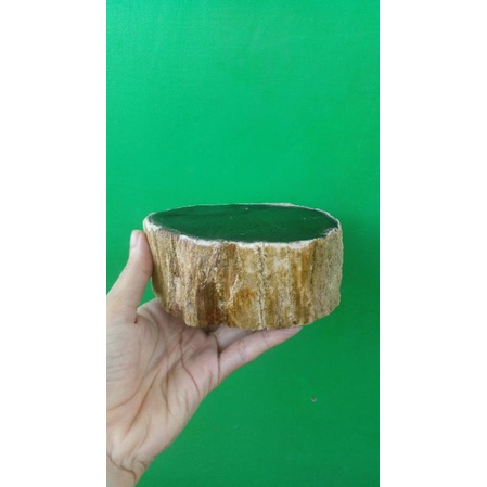 Jual Bahan batu bo sempur banten petrifiedwood 1kg AL Jawahir 313 ...