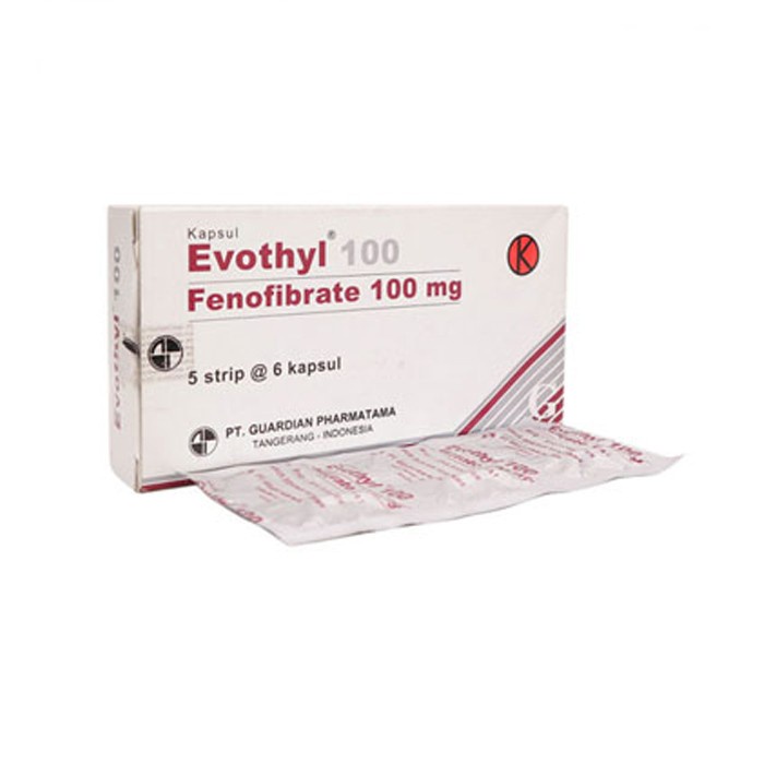 Jual EVOTHYL 100MG 1 STRIP ISI 6 KAPSUL / KOLESTEROL / GULA DARAH ...