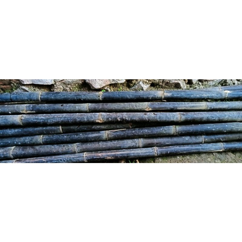 Jual BAMBU HITAM | BAMBU BULAT BATANGAN ukuran 50cm 100cm 160cm 200cm ...