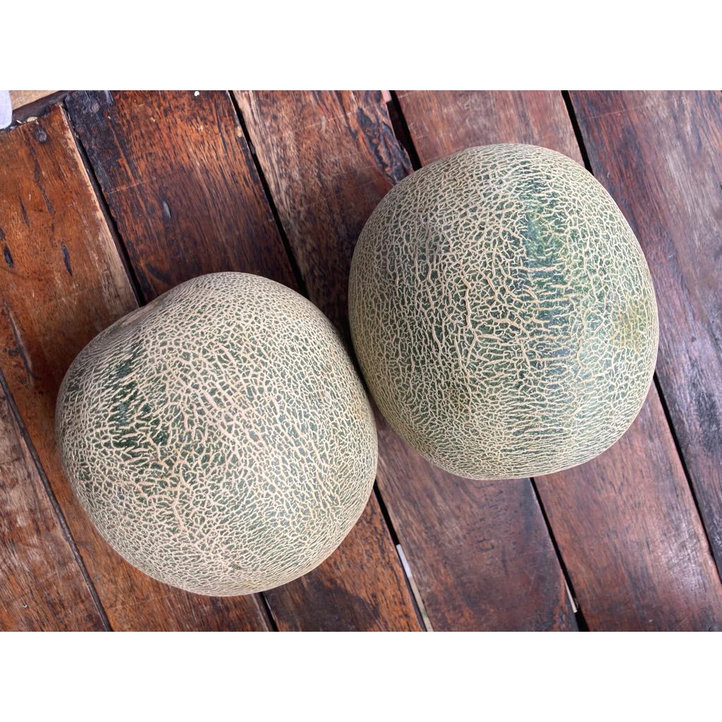 Jual Melon super/sky rocket segar, buah melon sky rocket, buah melon ...