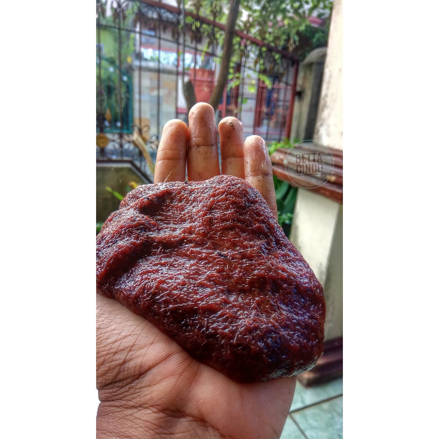 Jual Cacing Sutra Pakan Ikan cupang - Cacing sutra makanan ikan hias ...