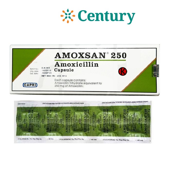 Jual AMOXSAN 250MG 1 STRIP 10 CAPSUL / ANTIBIOTIK / ANTI JAMUR | Shopee ...