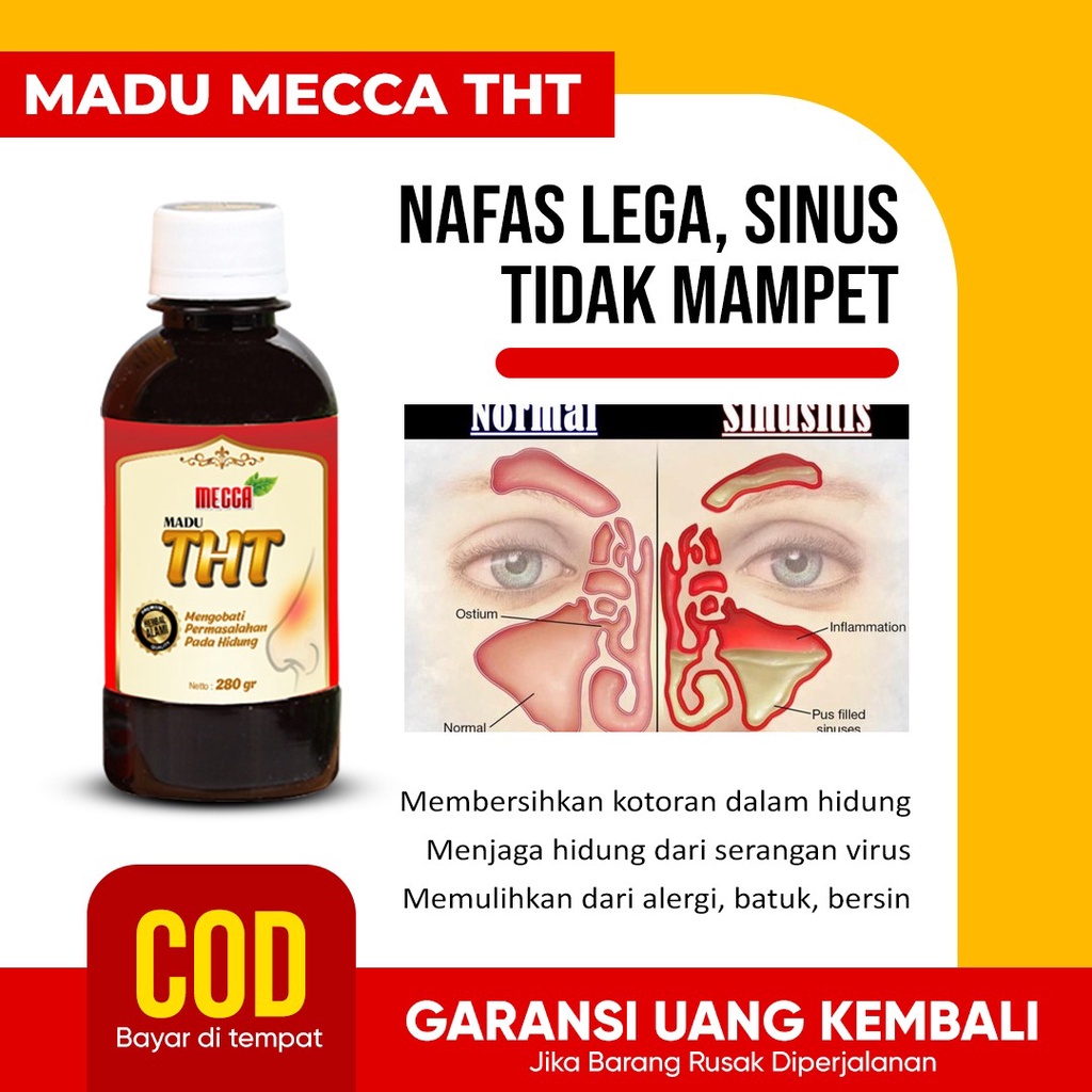 Jual Madu Mecca THT Sinusitis dan Polip 280 gr Untuk Atasi Masalah ...
