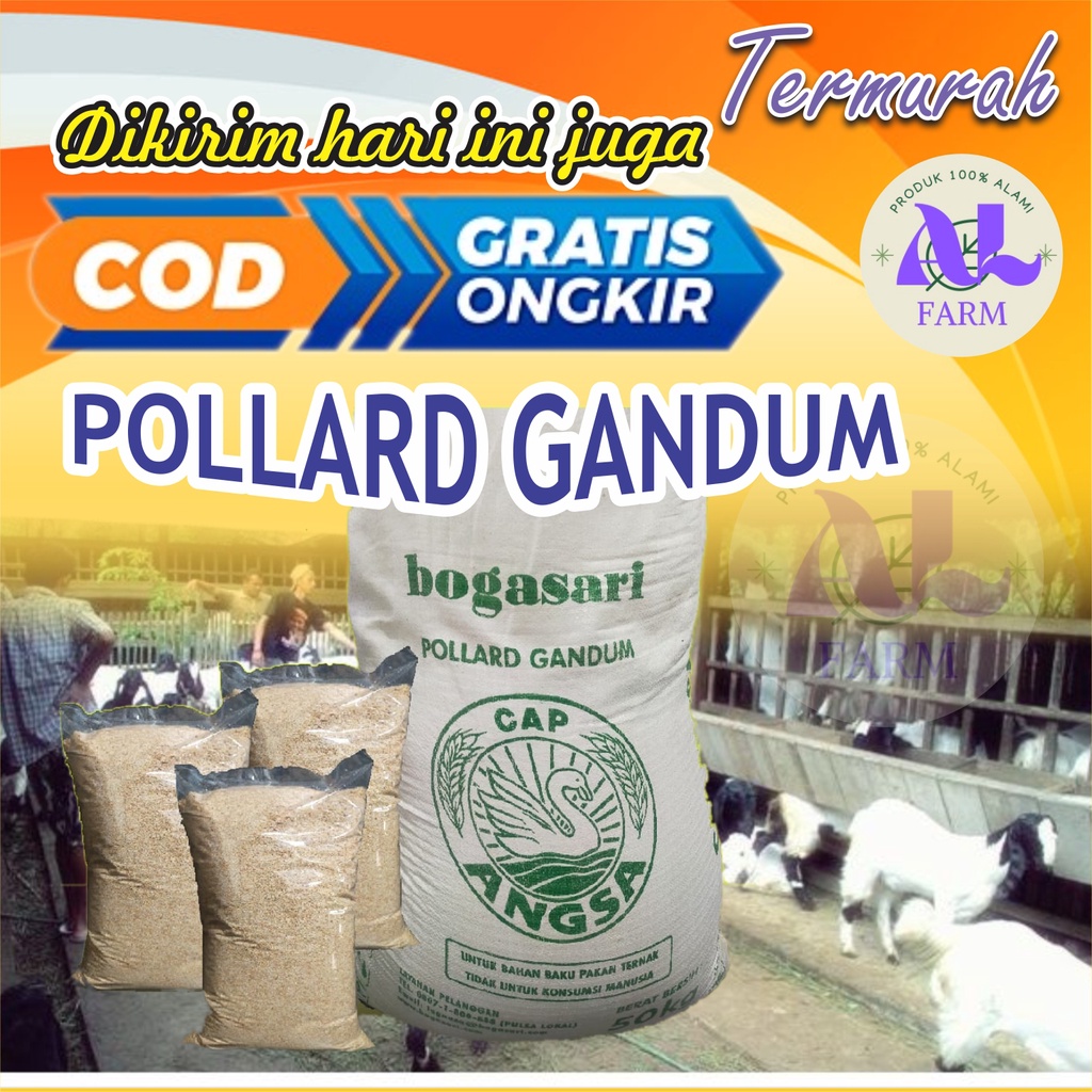 Jual Pollard gandum Bogasari kemasan 1Kg ALFARM | Shopee Indonesia