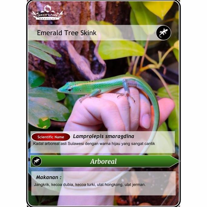 Jual Kartu Emerald Tree Skink | Shopee Indonesia