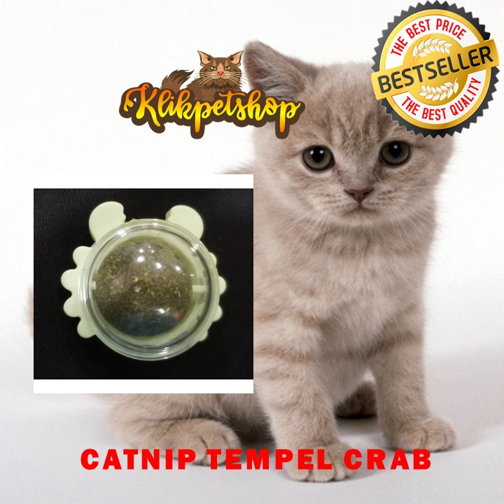 Jual Catnip Ball Toy Crab Catnip Snail Tempel Dinding Bentuk Crab ... Jual Catnip Ball Toy Crab Catnip Snail Tempel Dinding Bentuk Crab ...