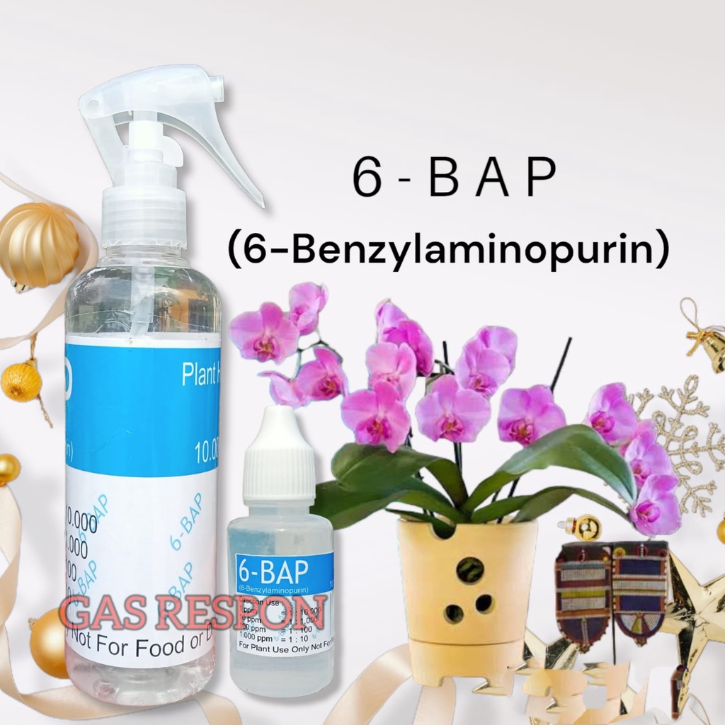 Jual HORMON bap 6-BAP BENZYLAMINO PURIN 10.000 ppm 250 ml Hormon ...