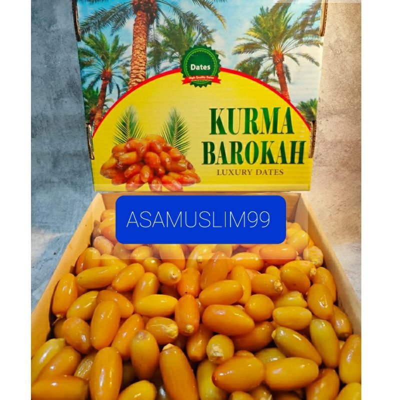 Jual kurma barokah ruthab libya 5kg ruthob kurma muda 5kg | Shopee ...